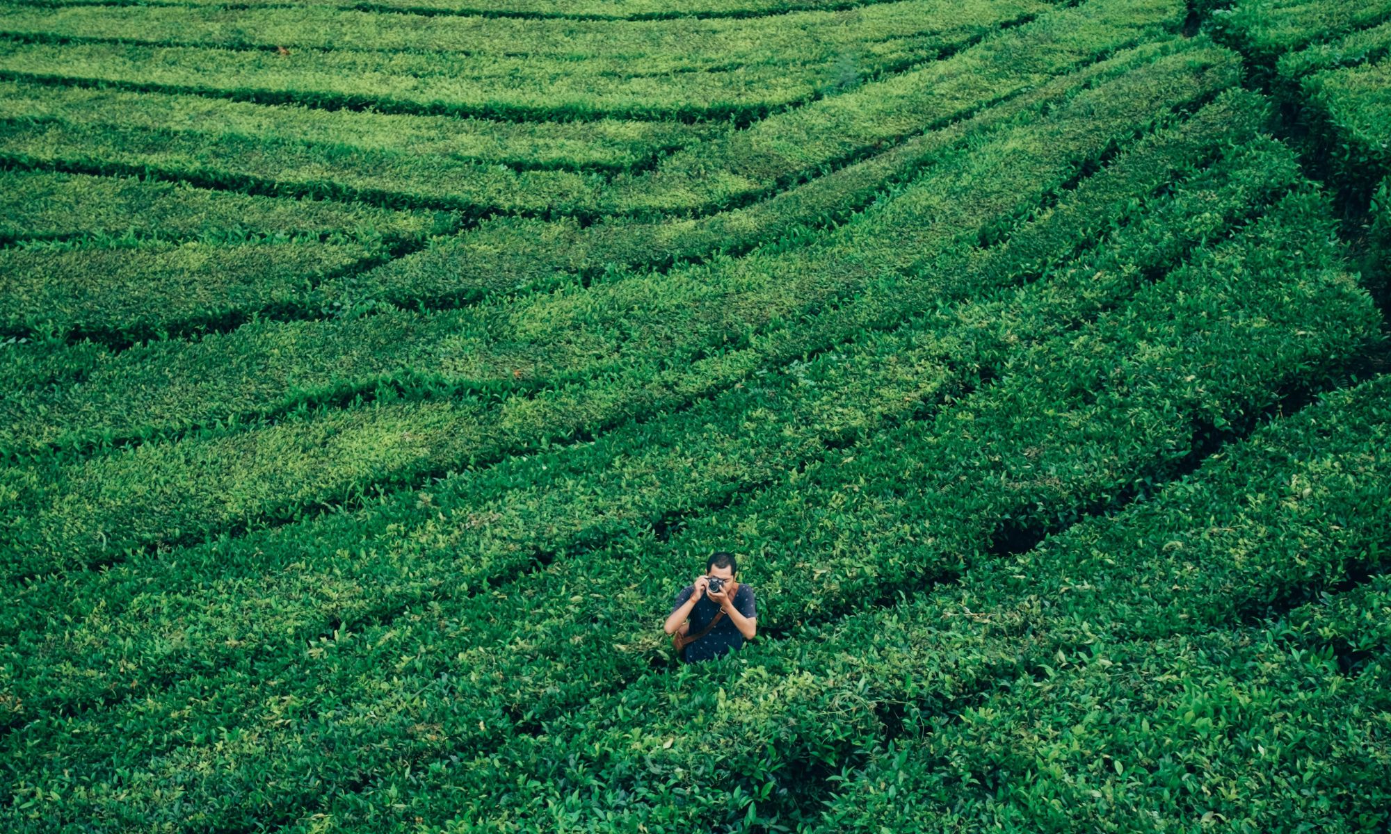 October 2024 Monthly Commentary | Orion