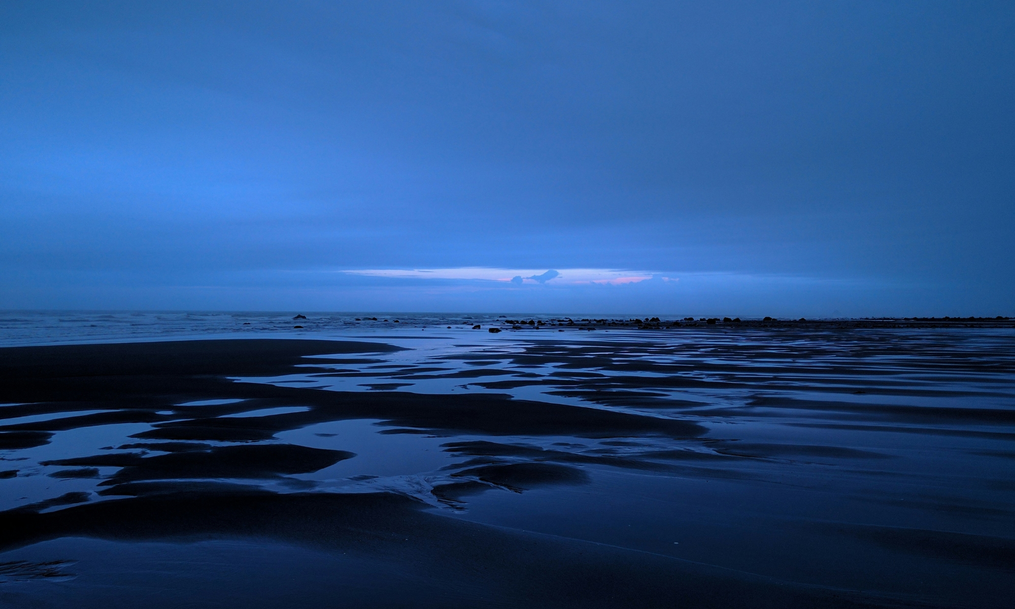 December 2024 Monthly Commentary | Orion